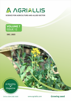 Volume 7 – Issue 12 – (December 2025)